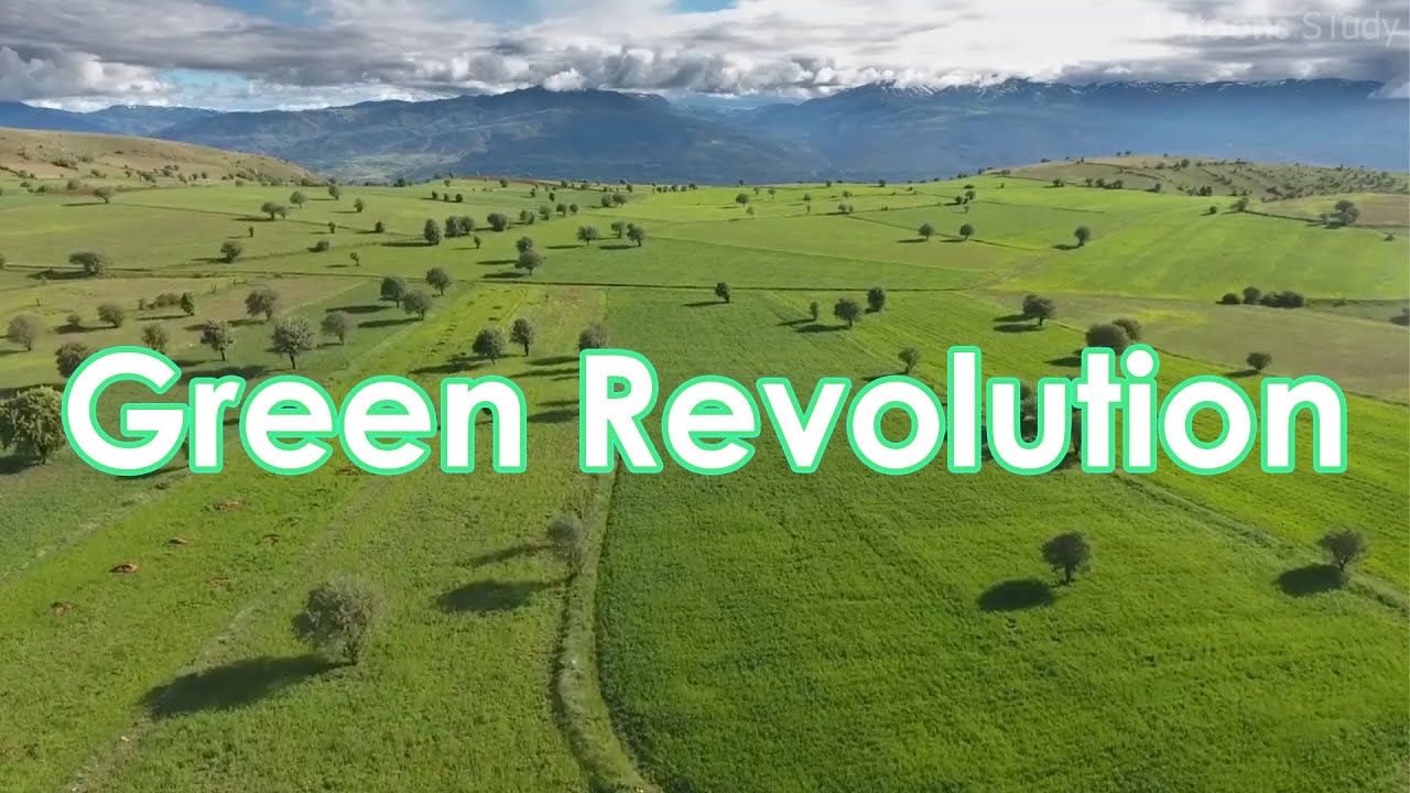 Green Revolution in India | What is Green Revolution | हरित क्रांति ...