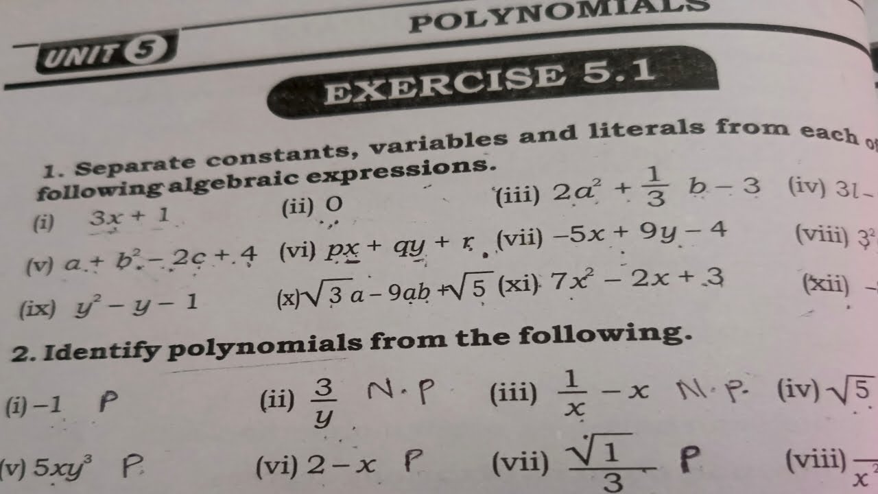 unit 5 polynomials ex 5.1 qno 1 class 8 - YouTube