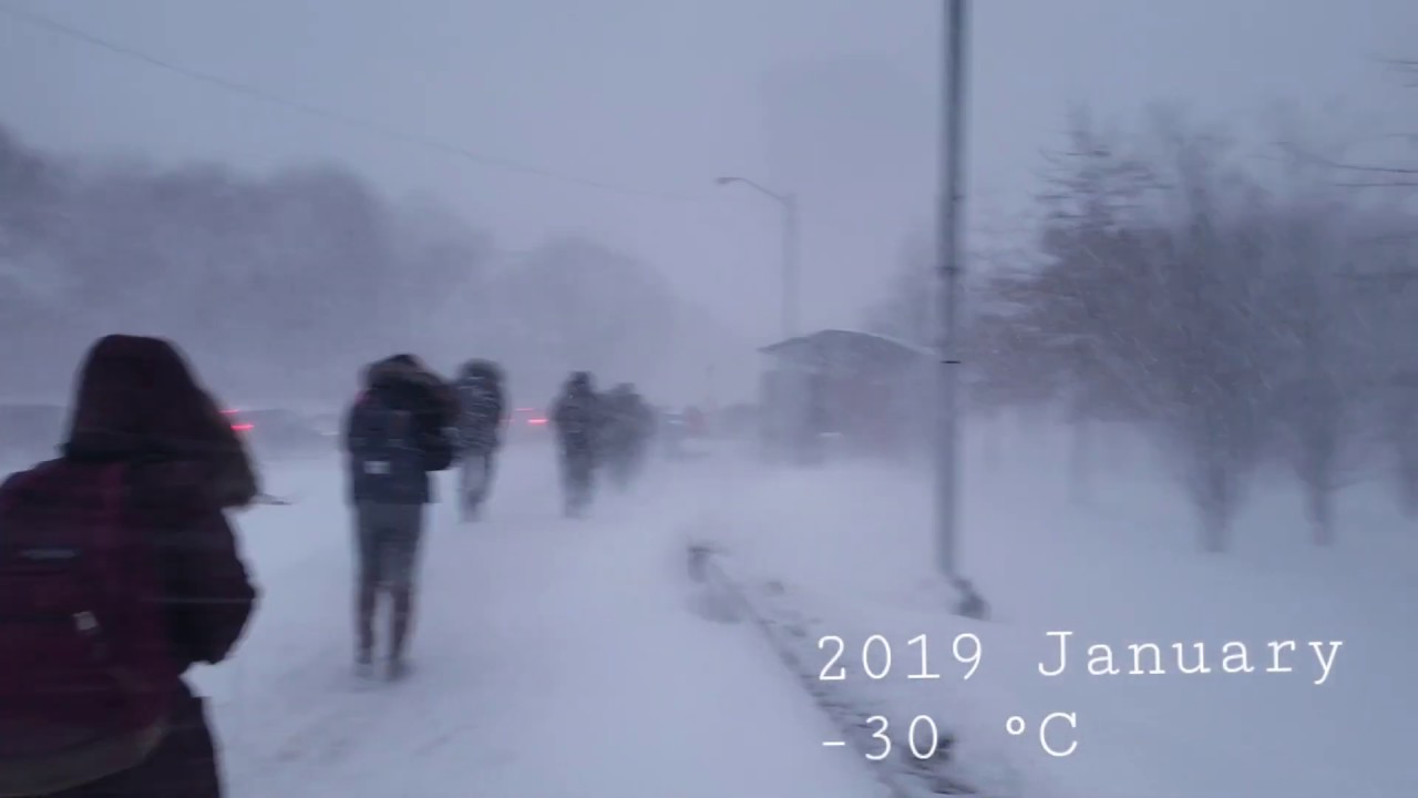 A winter day in Toronto, Canada | කැනඩාවේ හිම කුනාටු - YouTube