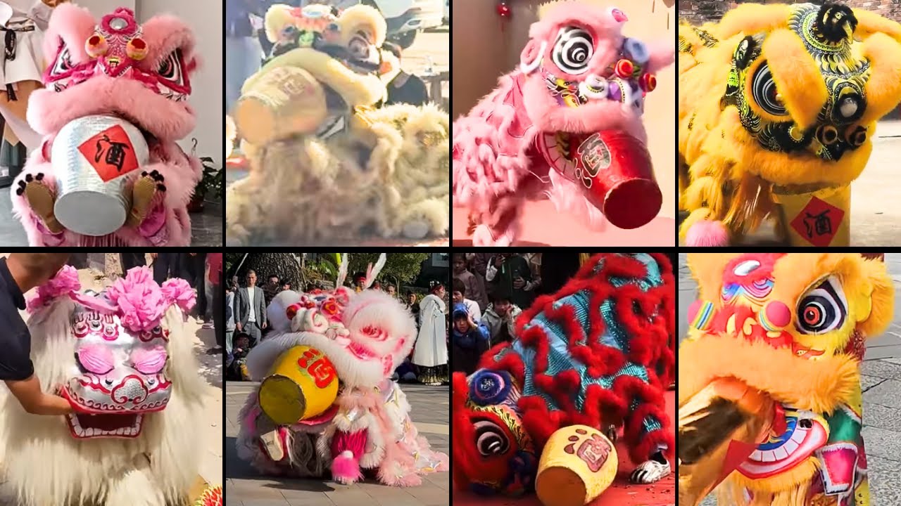 BARONGSAI WARNA-WARNI MINUM AIR (11 Aksi Barongsai Minum Air di Kendil ...