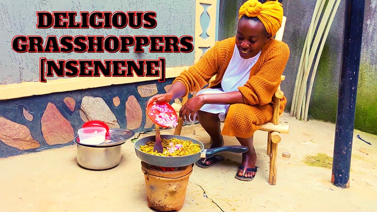 Cooking Ugandan Most Delicious Seasonal Grasshoppers [Nsenene] - YouTube