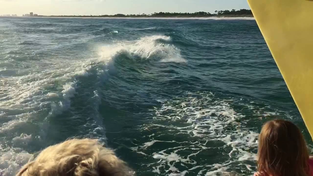 Dolphin Tour PCB Beach Trip 2016 - YouTube