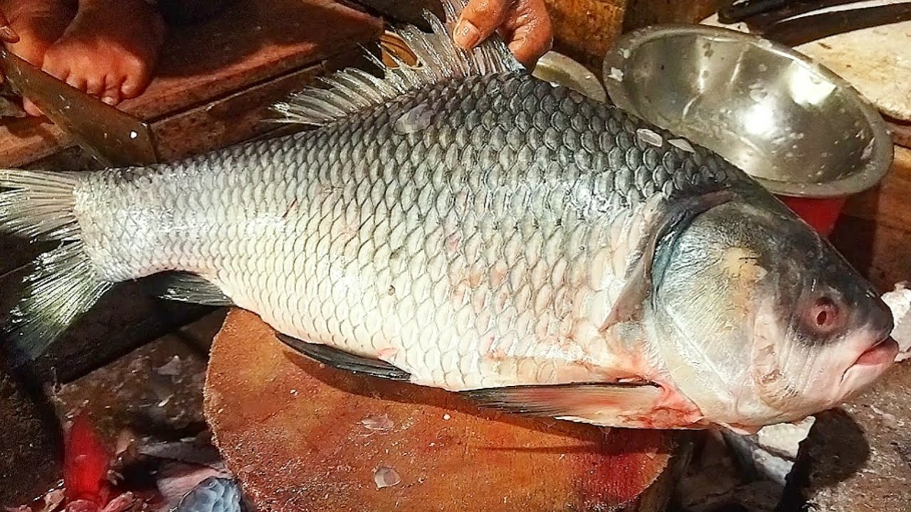 Fish cutting Men A Katal fish cutter video ln Bangladesh fish cutting ...