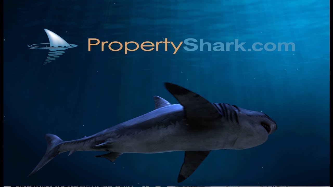 PropertyShark Interview with Luciane Serifovic & Vince Soriero - YouTube