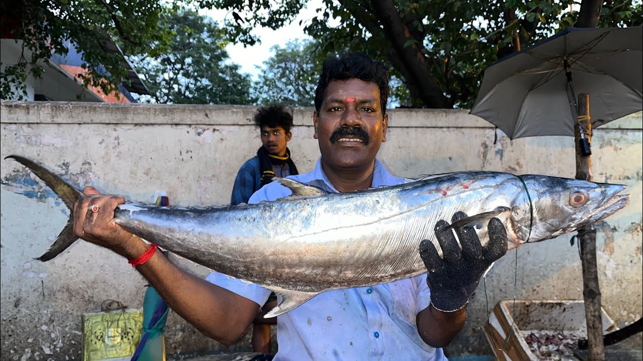 VANJARAM FISH AMAZING SLICING BY KASIMEDU SEKAR ⚔️🔥 - YouTube