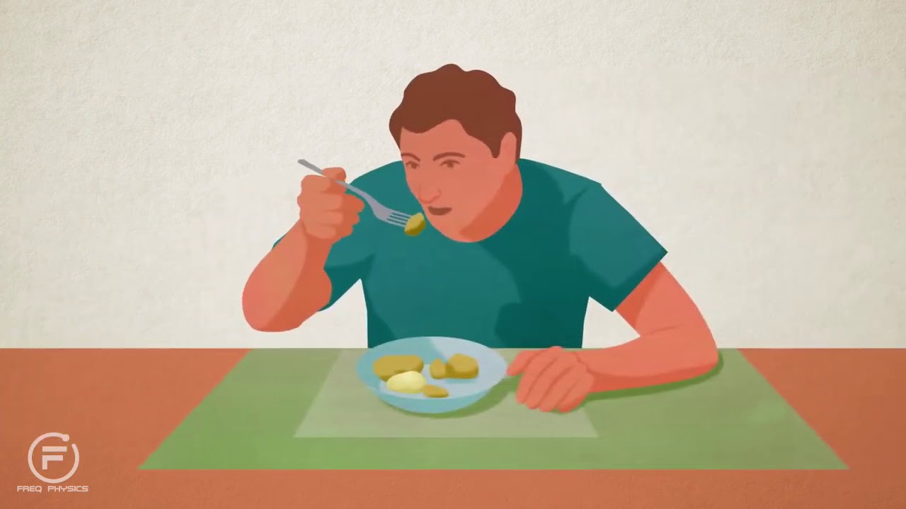 Freq Physics of Food Preservation - YouTube