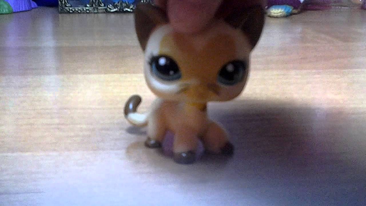 LPS: новинки стоячка #3573 - YouTube