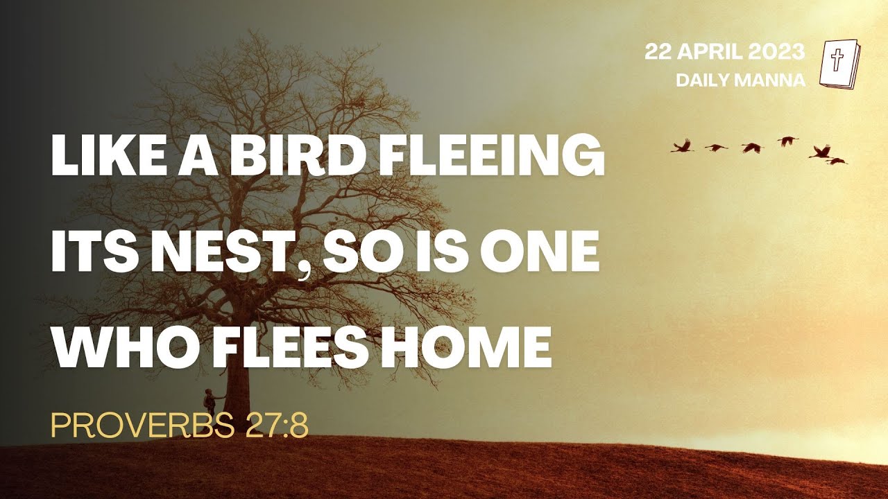Proverbs 27:8 | Like A Bird Fleeing Its Nest, So Is One Who Flees Home ...