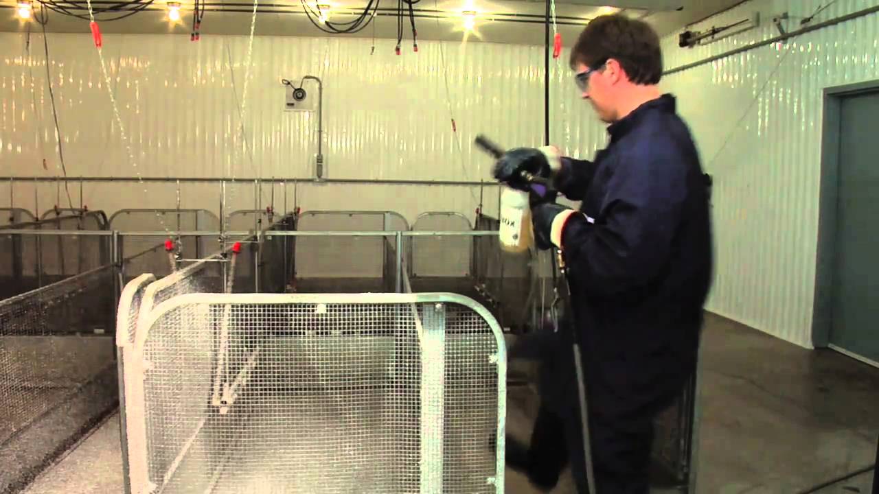 Video of Usage of Thymox Disinfectant in a Poultry Farm - YouTube