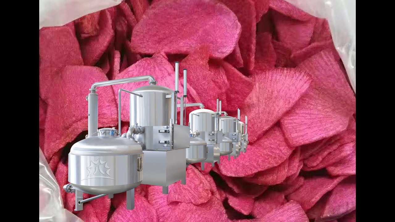 Vegetables carrot okra vacuum fryer machine for chips - YouTube