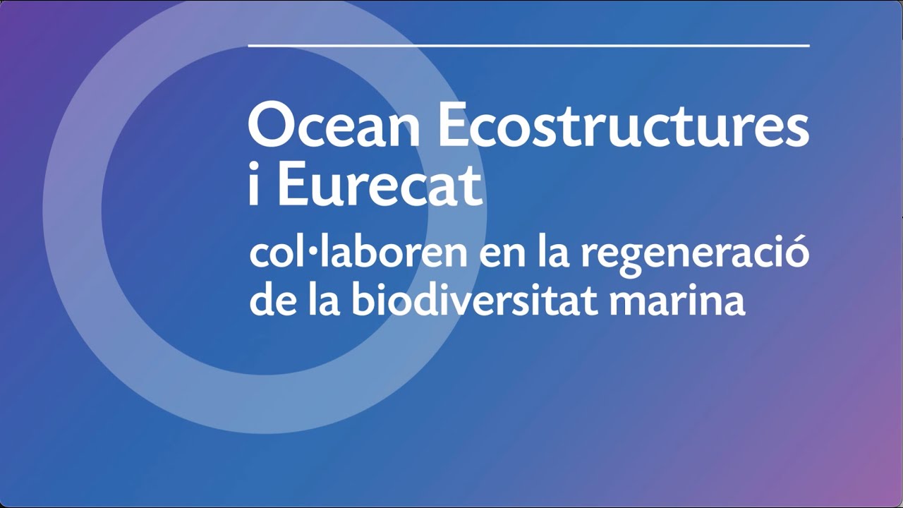 Ocean Ecostructures i Eurecat col·laboren en la regeneració de la ...
