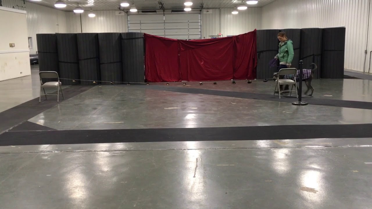 nose work novice containers - YouTube