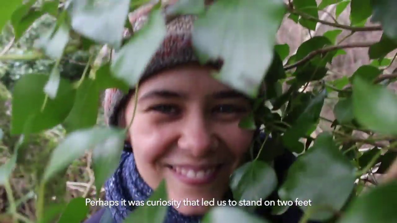 What is Land in Curiosity? - YouTube
