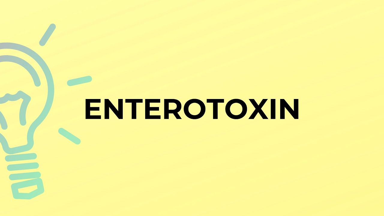 What is the meaning of the word ENTEROTOXIN? - YouTube