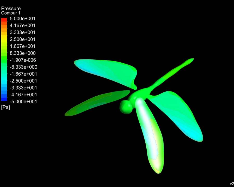 CFD ANSYS FLUENT simulation dragonfly hovering CON P - YouTube