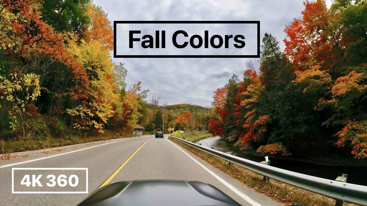 Scenic Drive - Fall Colors in Forks of the Credit - 4K // Shot on ...