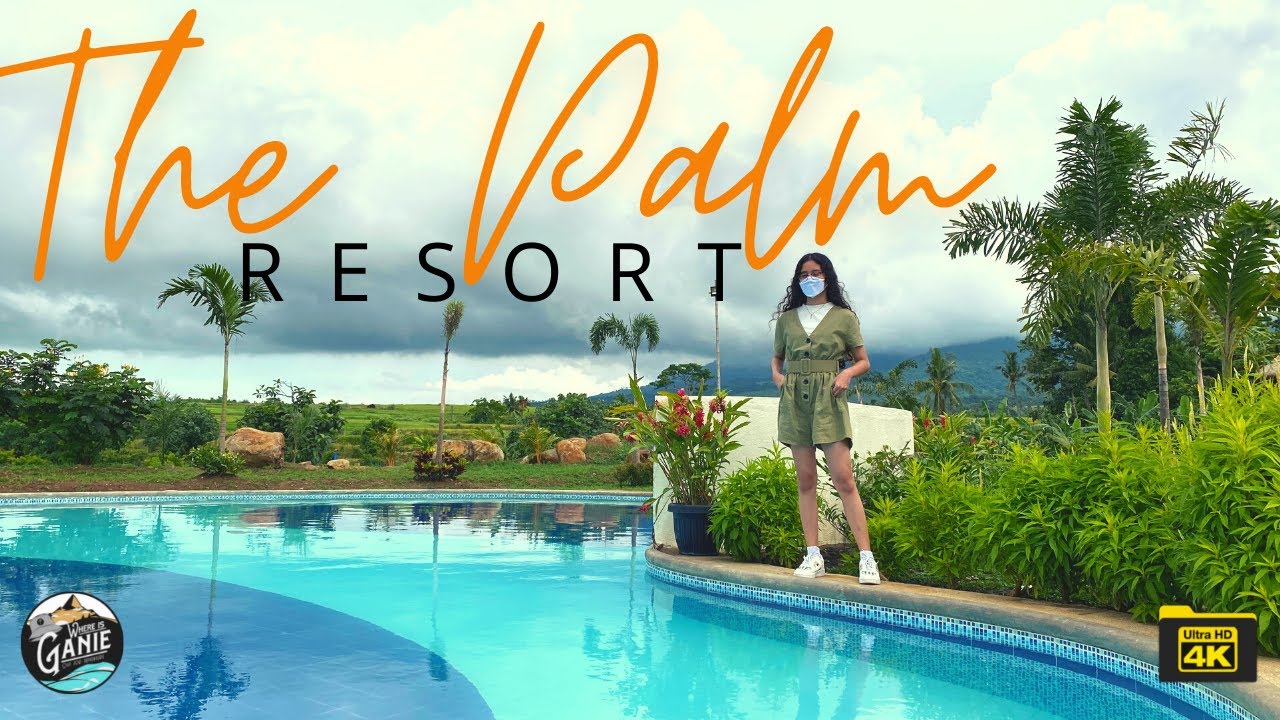 THE PALM Resort || Ocampo CamSur - YouTube
