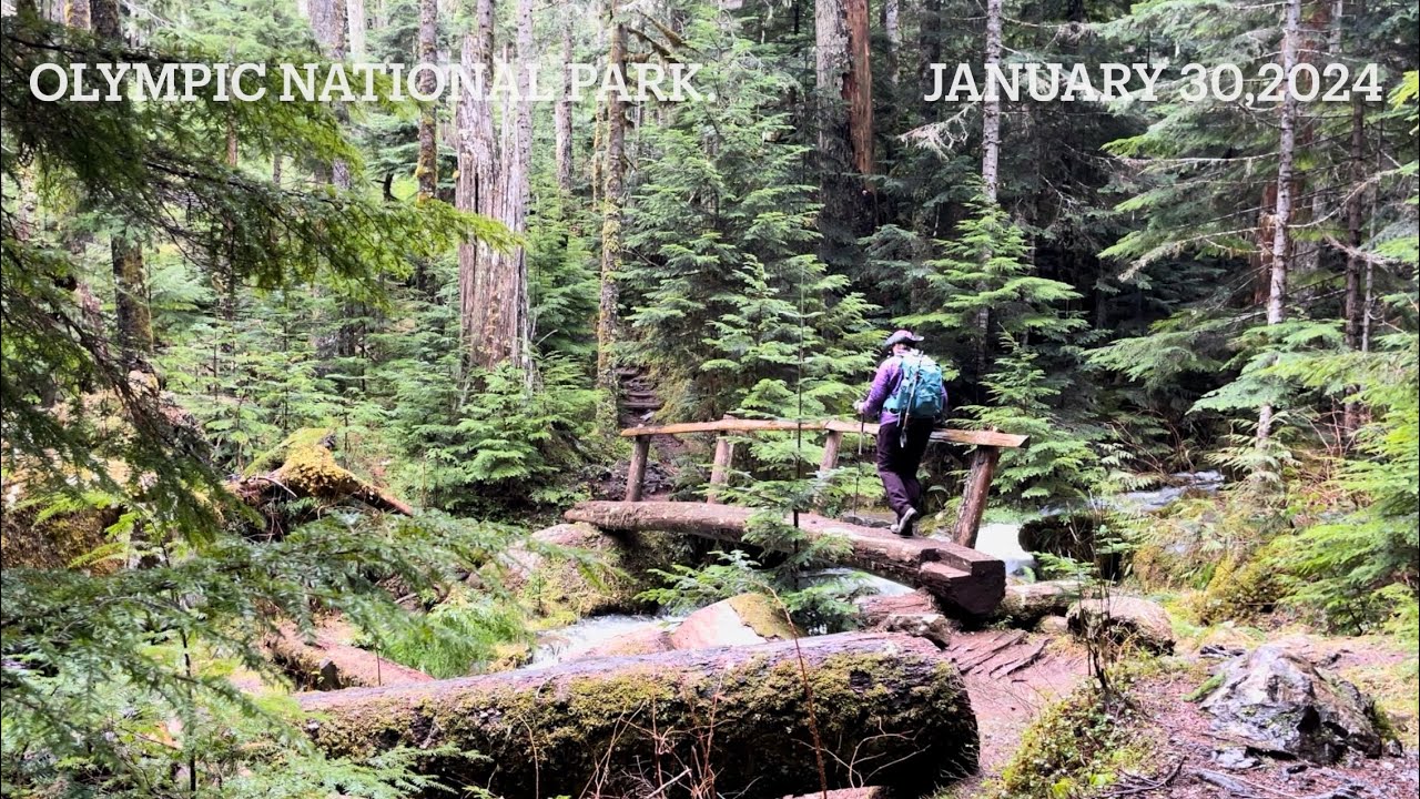Lake Angeles, Olympic National Park. Solo day hike in active cougar ...