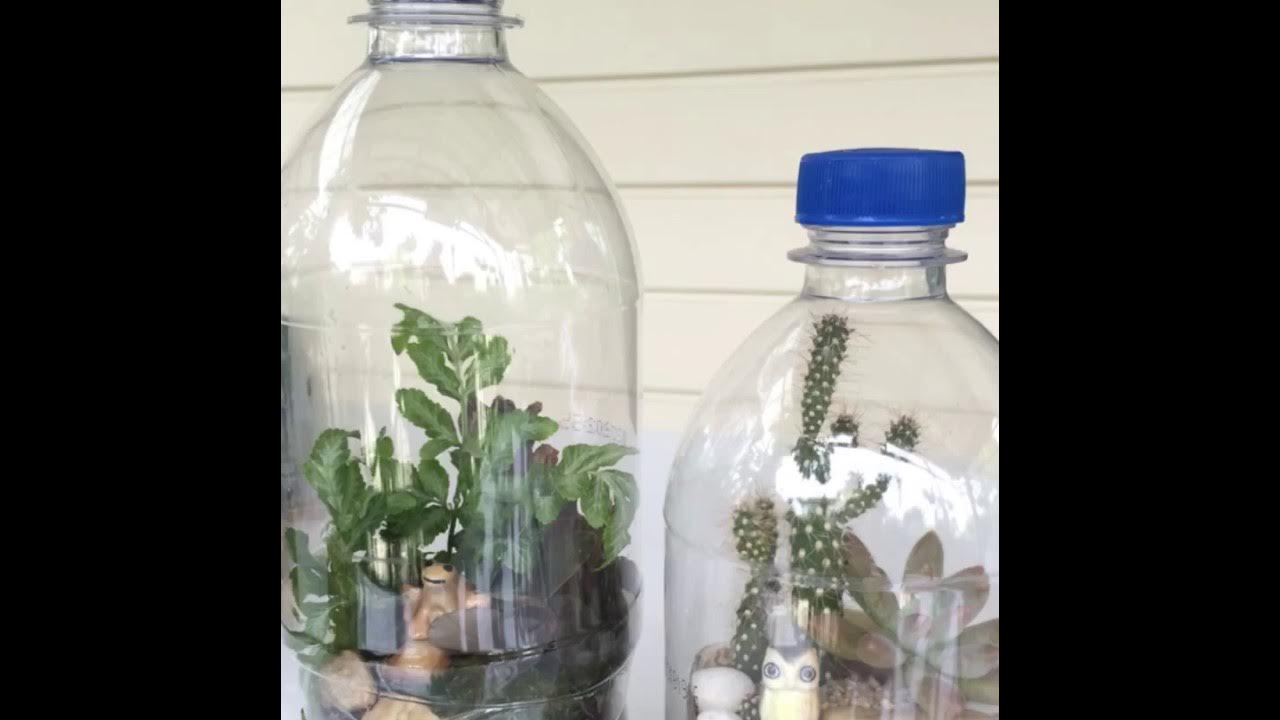 How to make Plastic Bottle Terrarium - YouTube