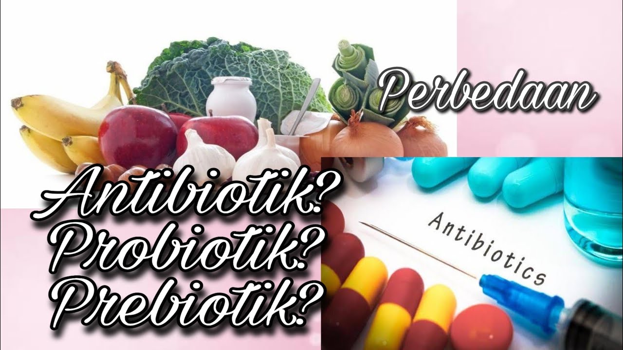 Kalian wajib tau perbedaan Antibiotik, Probiotik, dan Prebiotik serta ...