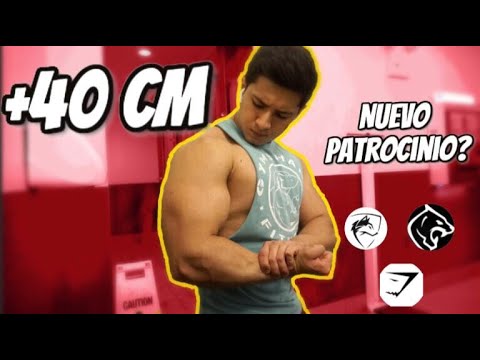 Mi RUTINA para tener BICEPS +40CM / Una MARCA Me PATROCINA? - YouTube