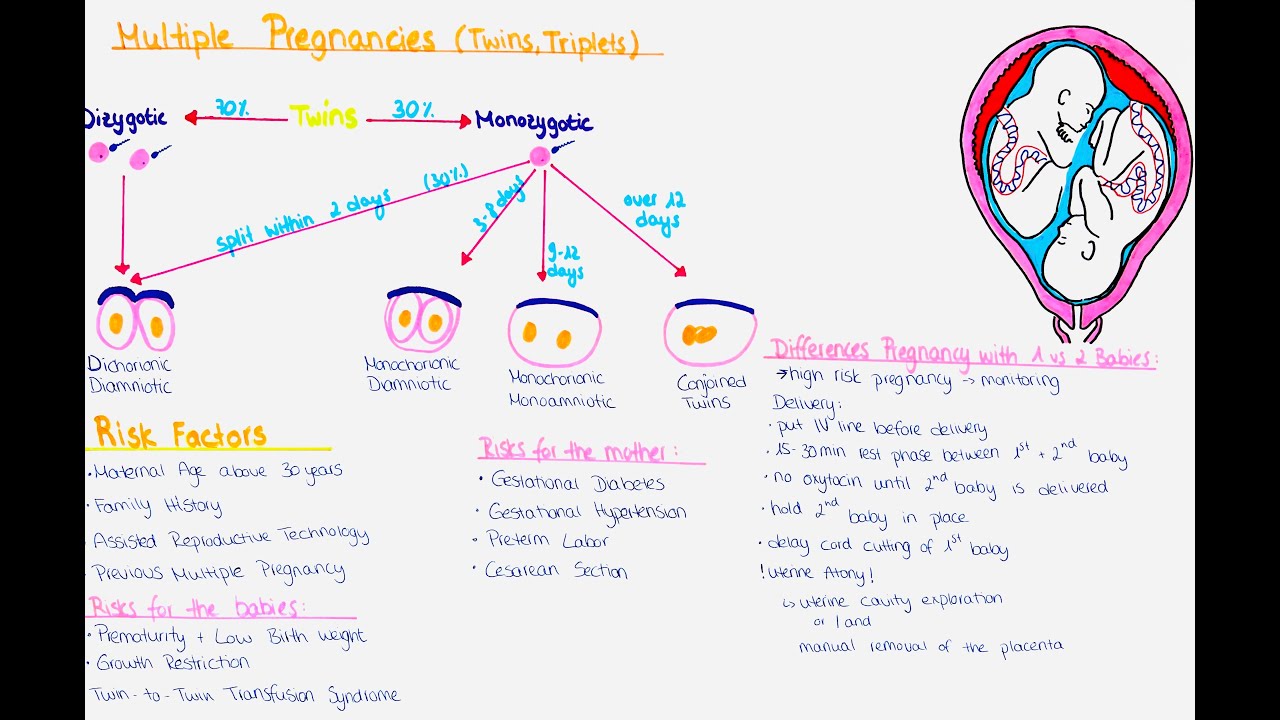 Multiple Pregnancy (Twins, Triplets) - Zygosity, Chorionisity ...