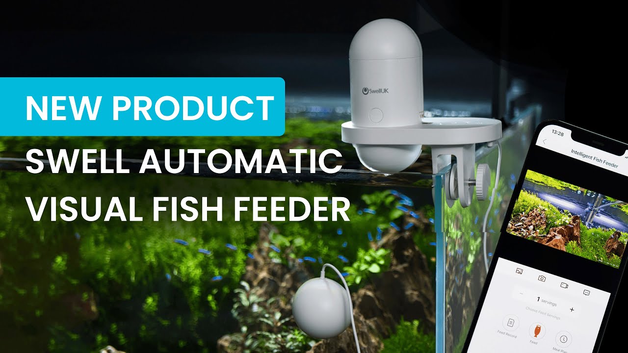Swell Visual Fish Feeder: Automatic Feeder with HD Camera for Aquariums ...