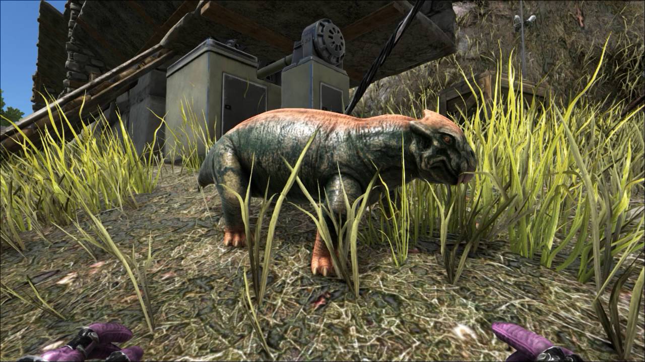 Lystrosaurus Ark