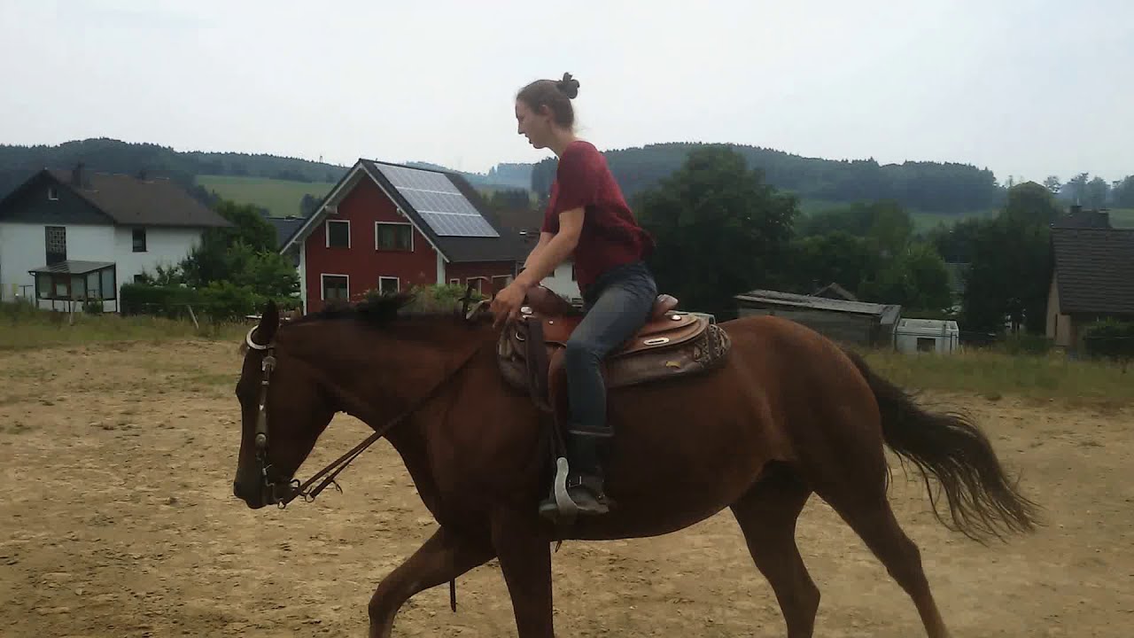 Was tun wenn das Pferd auf die innere Schulter fällt | Trainingstipp ...