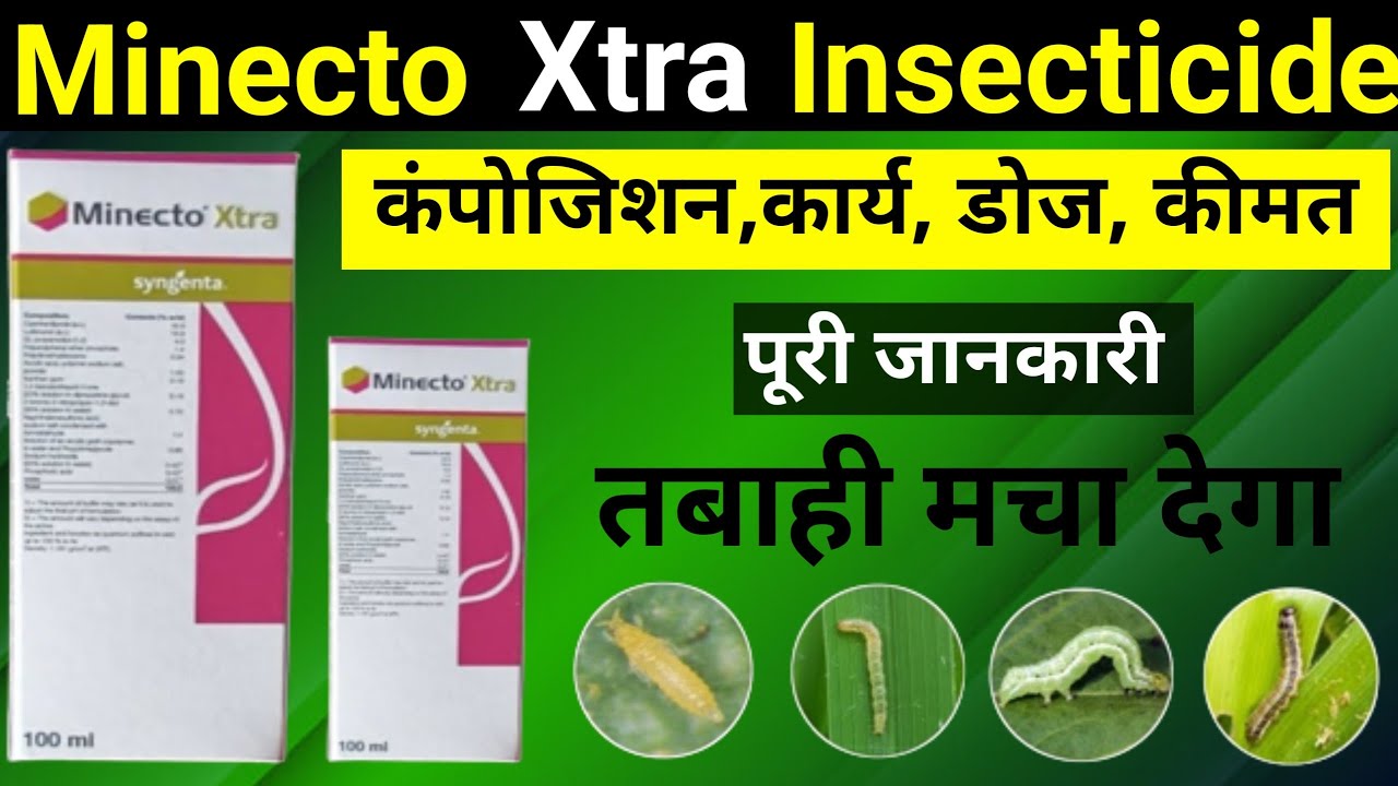 Minecto Xtra Insecticide।। Minecto Xtra Insecticide Syngenta।। Minecto ...