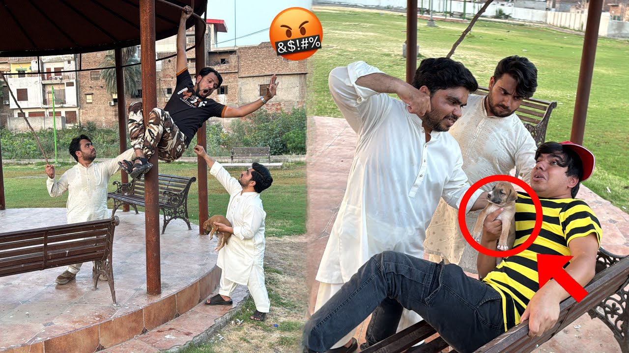 Bully Dog Ky Picha Hmari Fight Hogai 🤬 Choto Logo Sy 😰 - YouTube