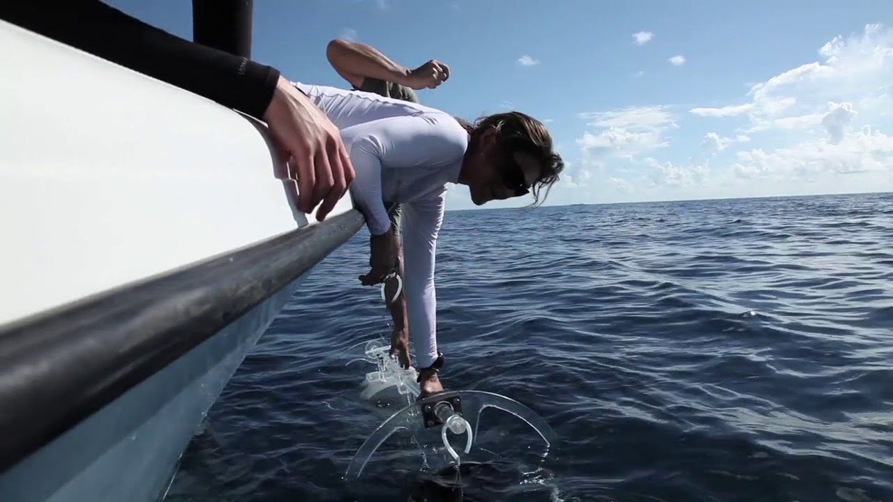 Computer modeling of larval fish transport - YouTube