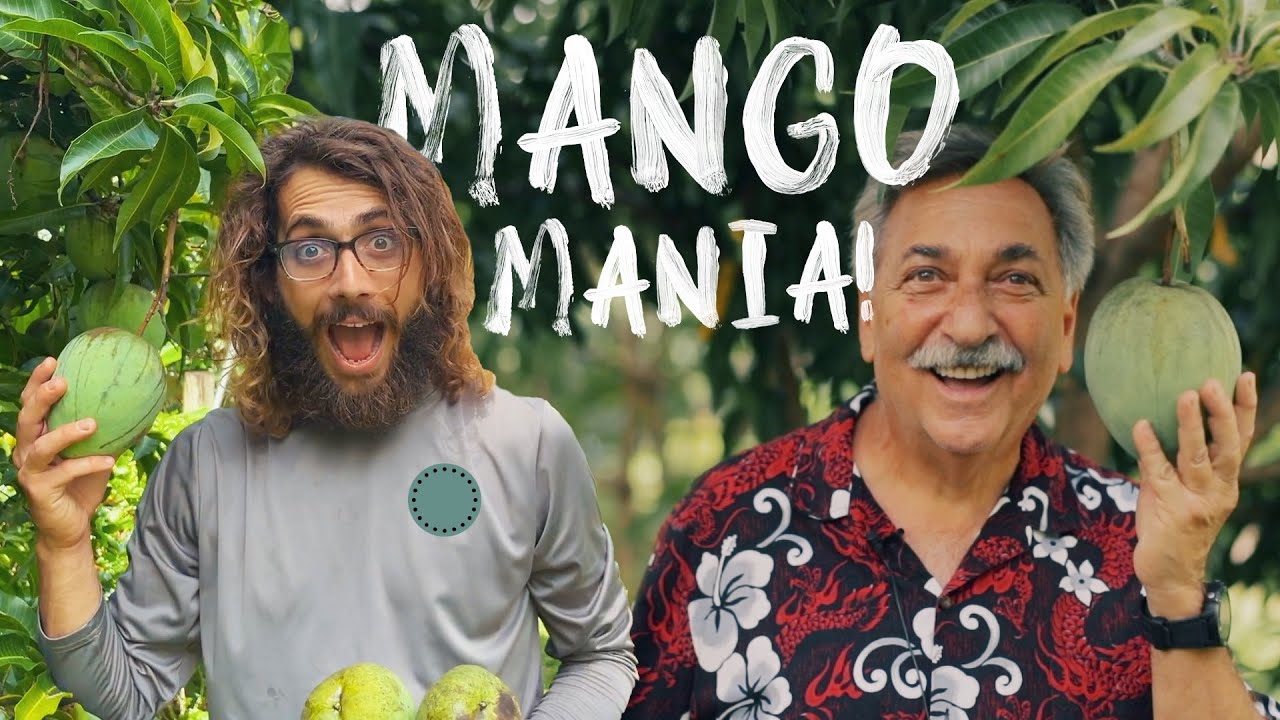 "It's Insane." - Jerry's FRUIT FOREST TOUR: Mangos | Magic Jack | More ...