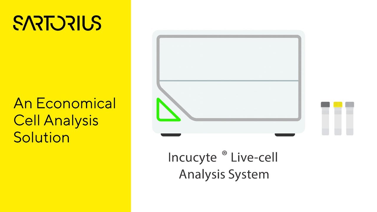 Incuyte® SX1 Live Cell Analysis System - YouTube
