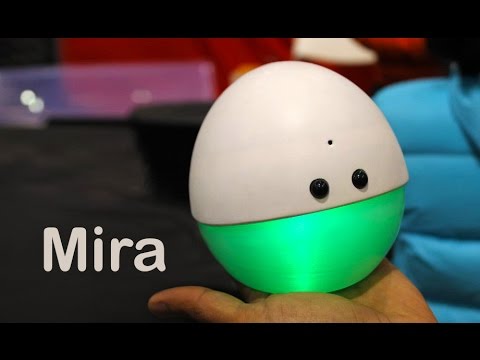 Mira the robot playing peek-a-boo - YouTube