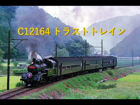 茶色客車のトラストトレイン C12 164 -祝大井川鐵道本線部分再開- - YouTube