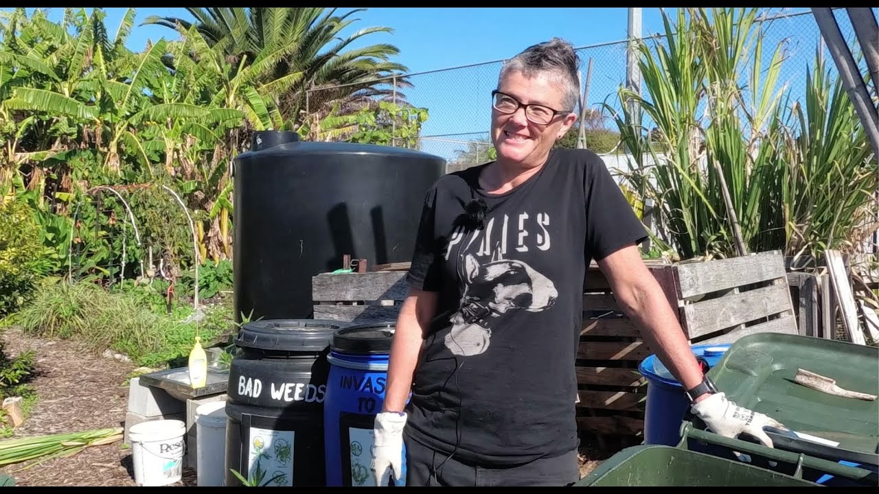 Growing Point demonstrates how to feed the soil with inoculations and ...