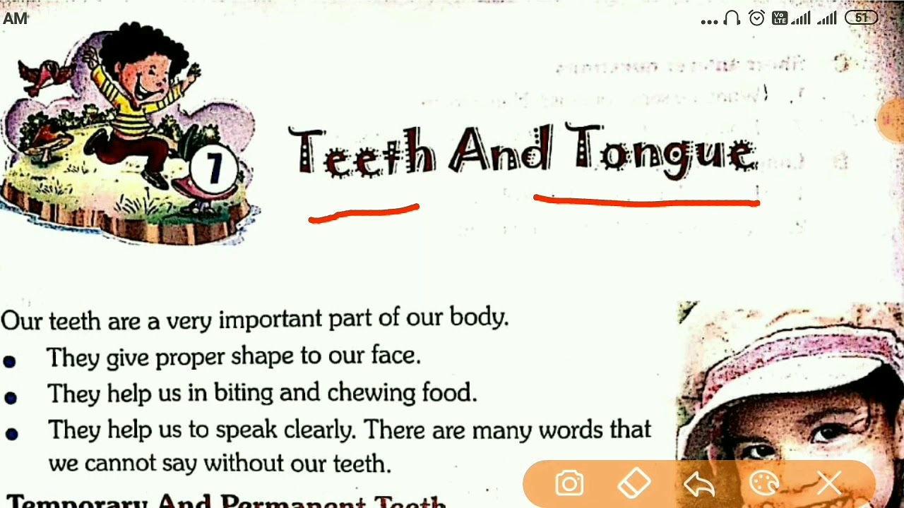 CLASS 4TH | EVS | CHAPTER 7 | TEETH AND TONGUE | PART 1 - YouTube