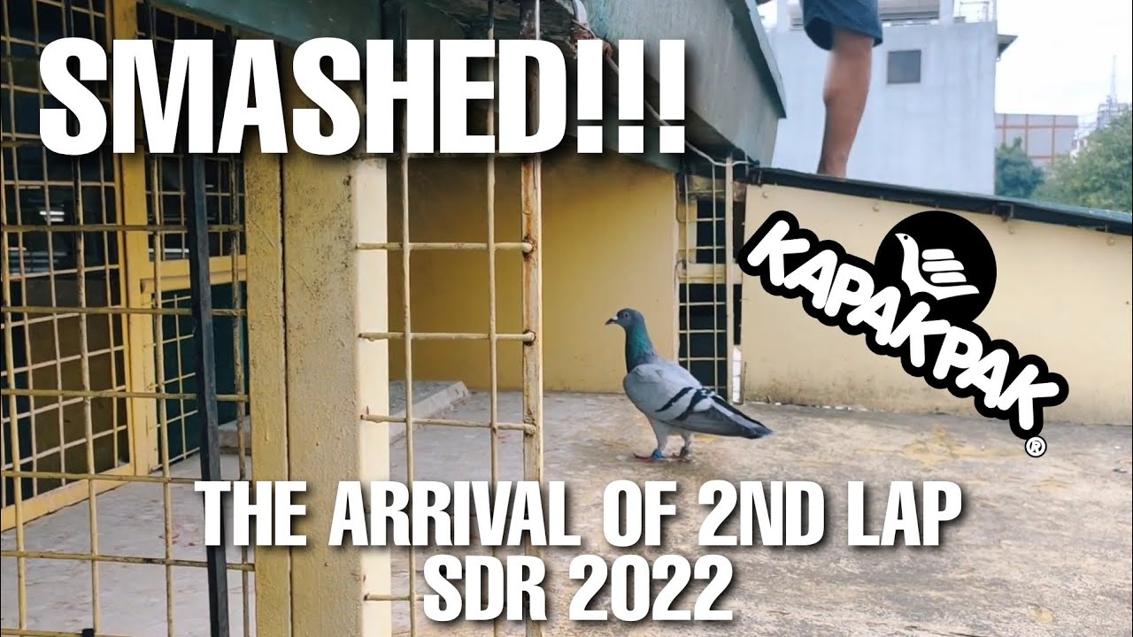 THE ARRIVAL OF 2ND LAP SDR (2022) | EZEKIEL LUNAR LOFT - YouTube