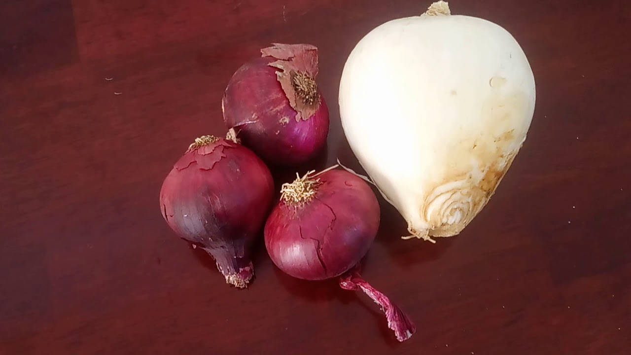 ANO ANG KAIBAHAN NG SIBUYAS NA PUTI SA SIBUYAS NA PULA? - YouTube