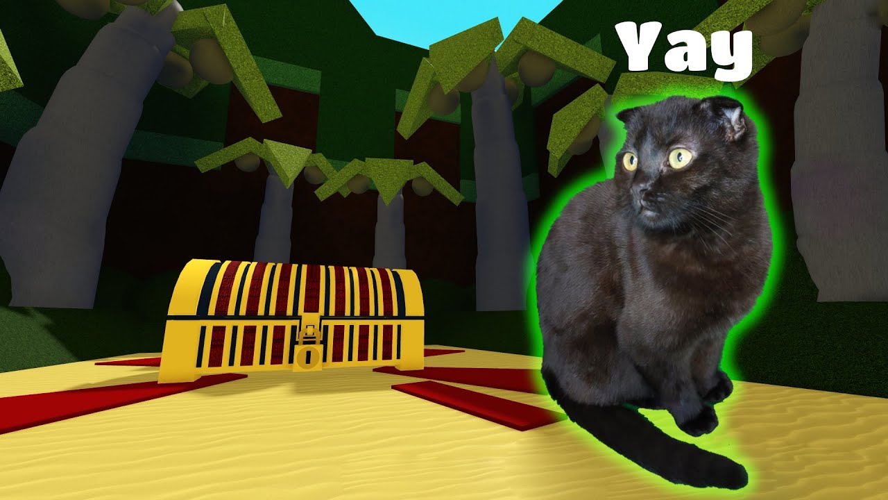 Cat builds a boat to find treasures 2! - YouTube