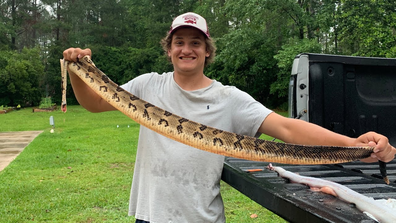 How to skin a rattlesnake - YouTube