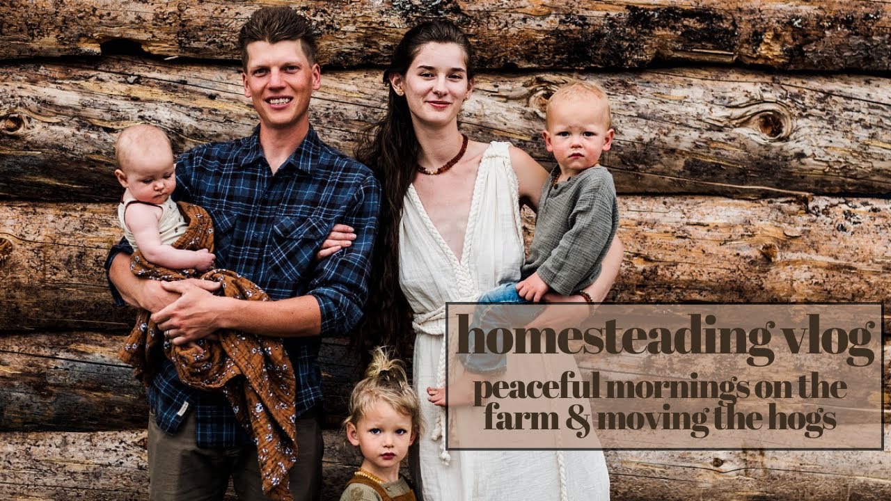 Peaceful Morning On The Homestead & Moving The Hogs | Farm Vlog - YouTube