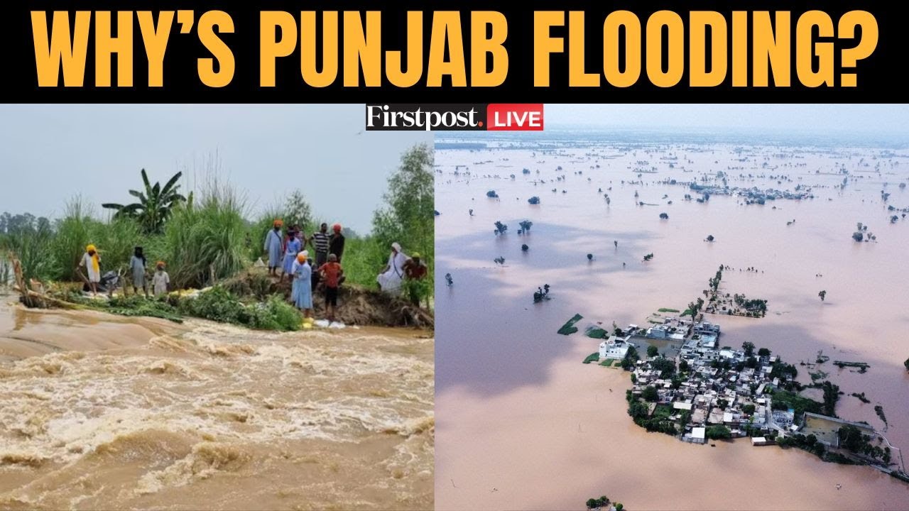 Punjab Floods LIVE: Over 37 Dead in Worst Floods in Punjab Since 1988 ...