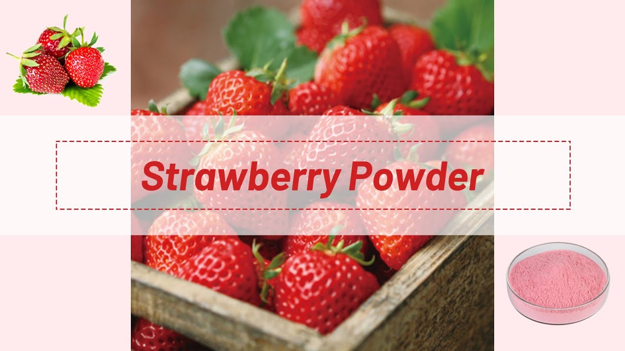 Top Quality Natural Strawberry Fruit Extract Polyphenol Strawberry ...