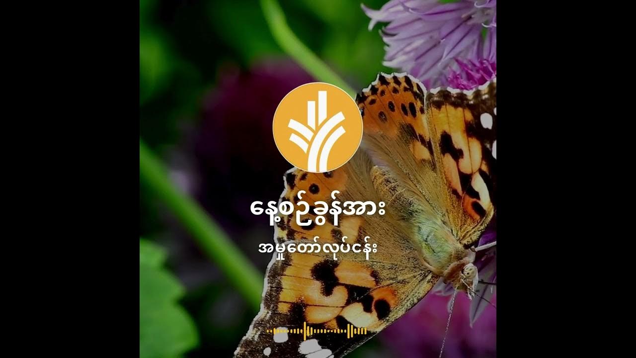 နေ့စဉ်ခွန်အား ၂၀၂၄ ခုနှစ်၊ ဇွန်လ ၁၂ ရက် Youtube