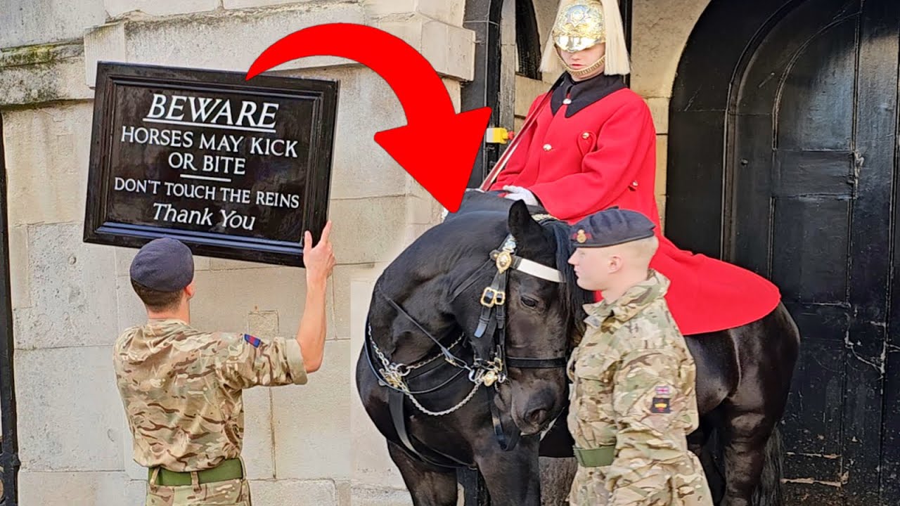 IDIOTS Will Still Ignore the Bold Signs - YouTube