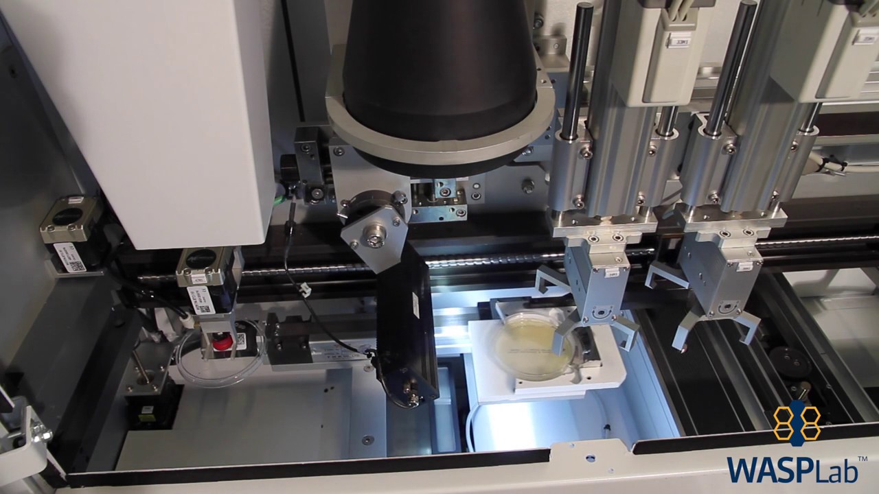 WASPLab® Plate image acquisition - YouTube