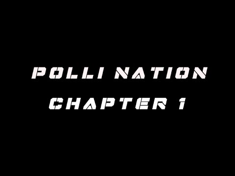 Polli nation - 1 - A Collective Performance from the Audience - YouTube
