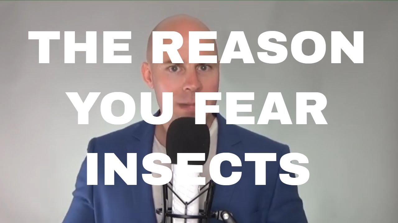 Phobia Guru explains the Fear of Insects known as Entomophobia - YouTube